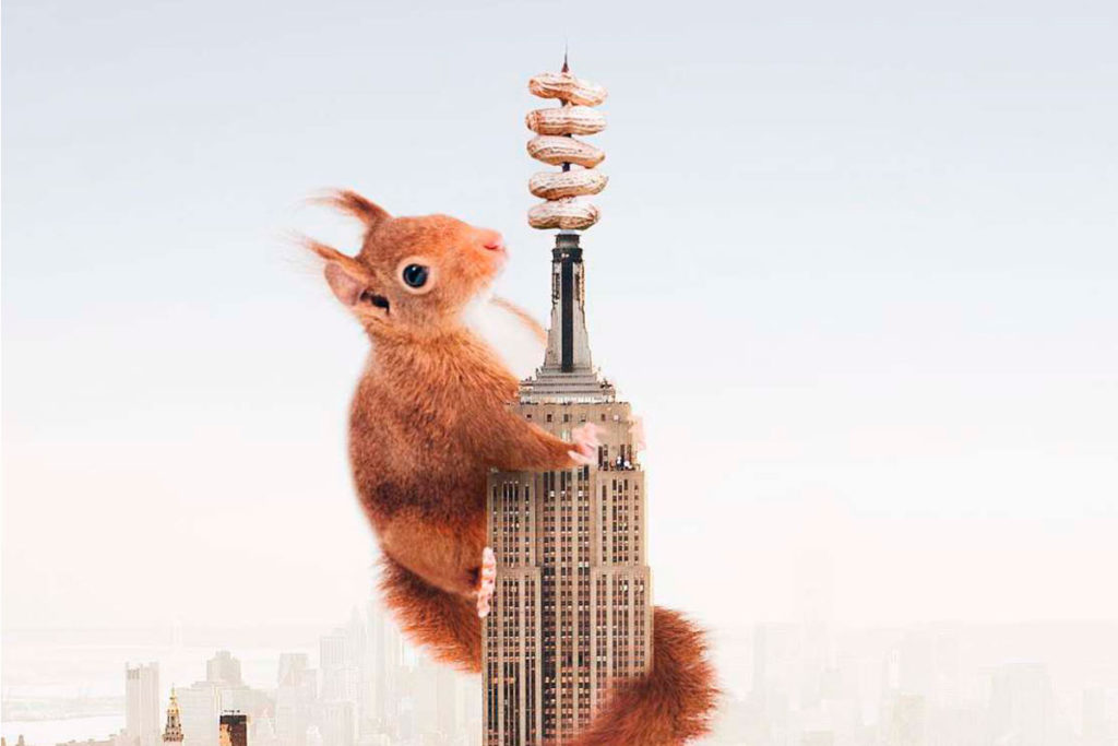 Domenic Bahmann. Una realidad distorsionada y creativa.